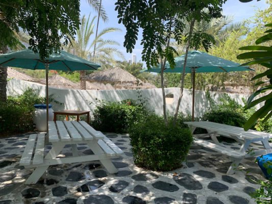 Jungle Bay Water Park Dubai 2026: Tickets Cost, Timings, Location ...