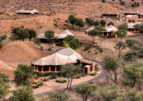 Unforgettable Camping In The UAE 2025: Best Camping Spots At The Beach ...
